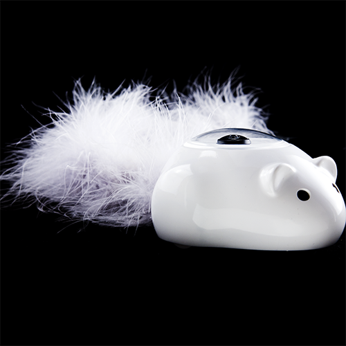 ECE alums crowdfunding the first artificially intelligent cat toy ...