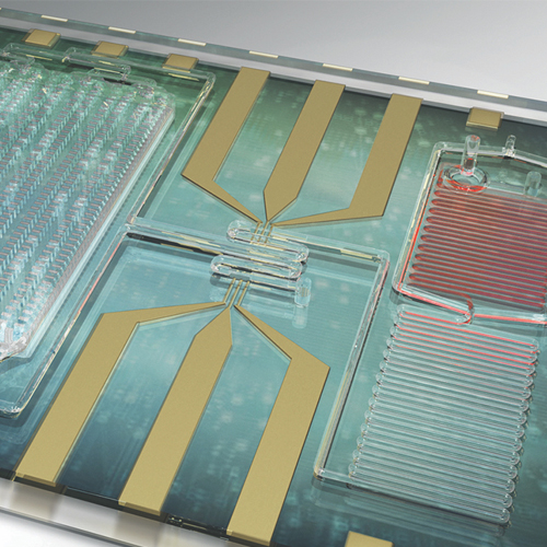 Carle collaboration develops rapid, portable sepsis detection device ...
