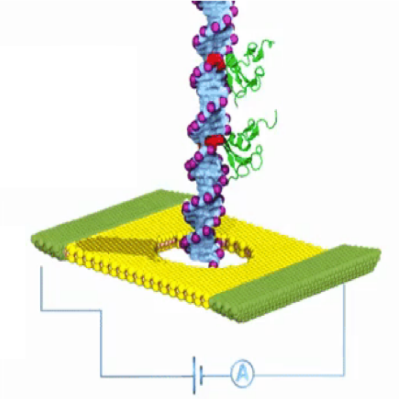 New Patent Set to Change the Way We Detect DNA and Sources of Diseases ...