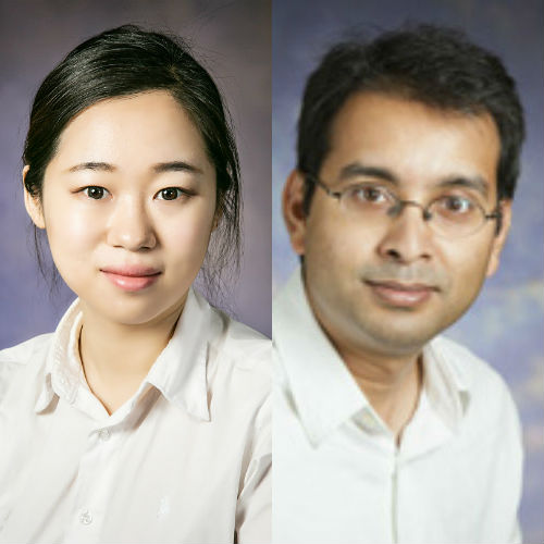 Mitra and Fan work to guarantee system reliability | Electrical ...